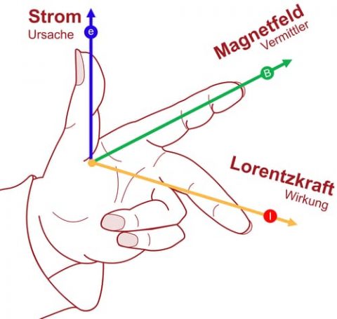 Grundlagen | cellactiva DE